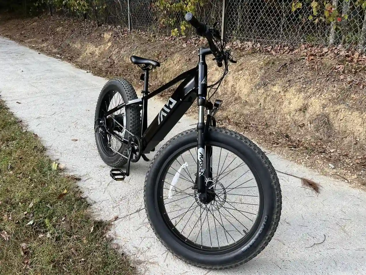 The TST Defender - A Powerful and Plush Fat Tire Electric Bike